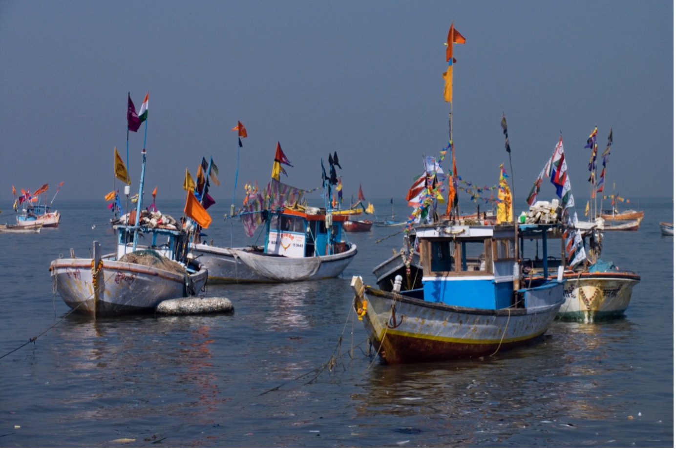 The Fisheries Sector in Andhra Pradesh: A Comprehensive Overview ...