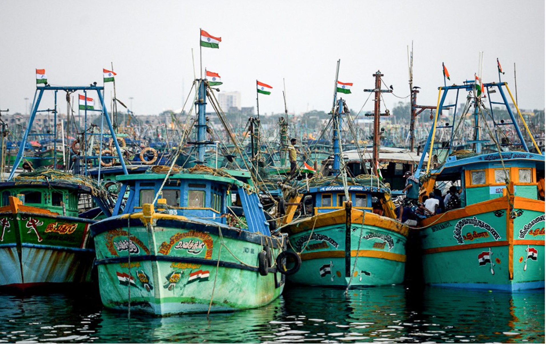 Kasimedu Fishing Harbour Set for ₹127 Crore Upgrade to Boost Fishery ...
