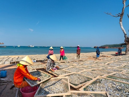 University of Gothenburg Researchers Turn Fish Waste into Biogas for ...