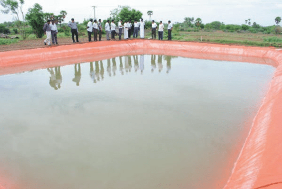 Innovative HDPE Farm Pond Method Boosts Inland Fishing Returns in ...