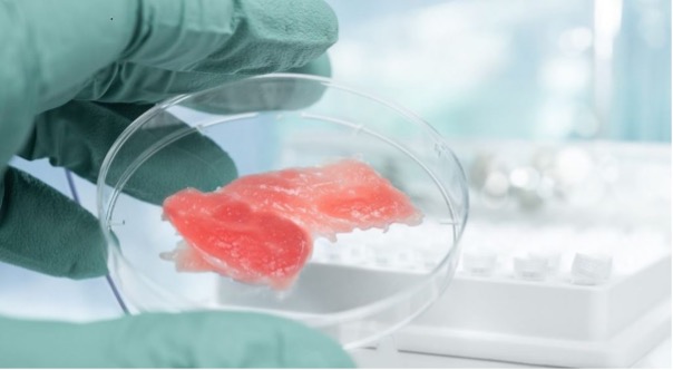 CMFRI Collaborates with Neat Meatt Biotech to Pioneer Lab-Grown Fish ...
