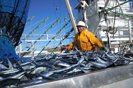 Japan Achieves Record Farm and Fisheries Exports of ¥1.45 Trillion in ...