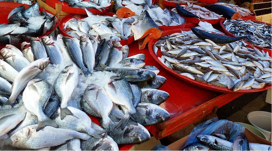 Fish Consumption Patterns in India: A Way to Nutritional Upward ...