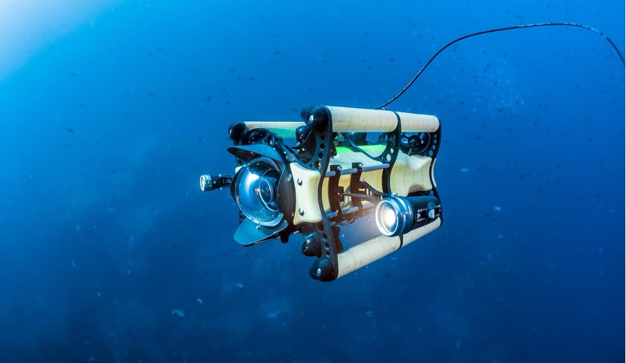 Deep-Sea Robots to Monitor Karnataka's New Artificial Reefs This ...