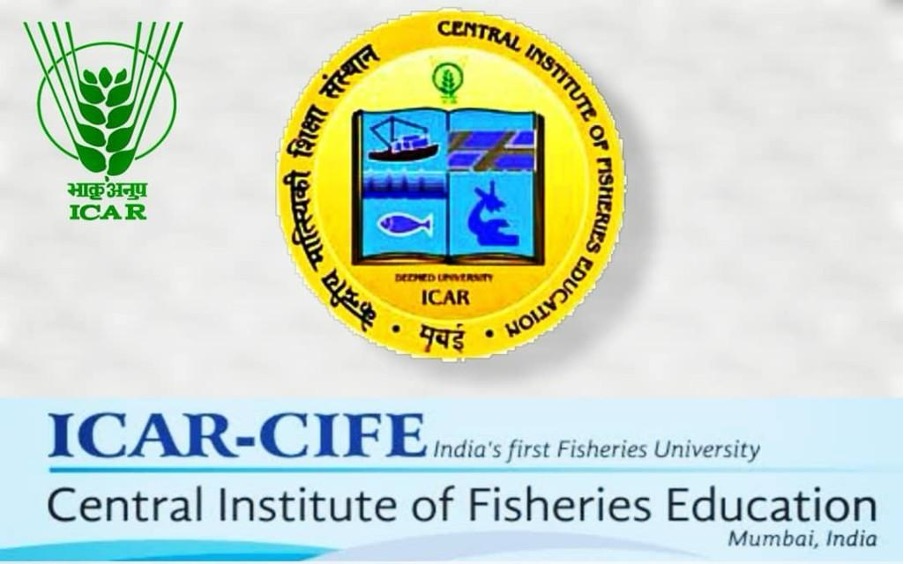 Open Call: Walk-in Interview for Junior or Senior Research Fellow at ...