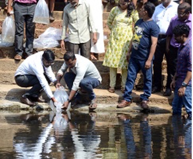 Preserving Goa's Riverine Ecosystem: ICAR-CCARI's Indigenous Fish ...