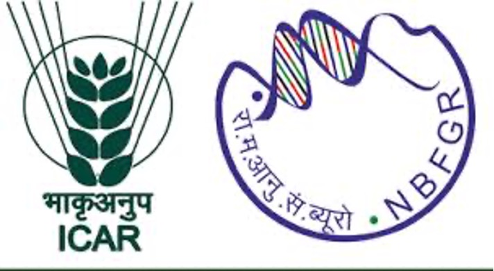 Walkin Interview for Young Professionals and Project Associate at ICAR ...